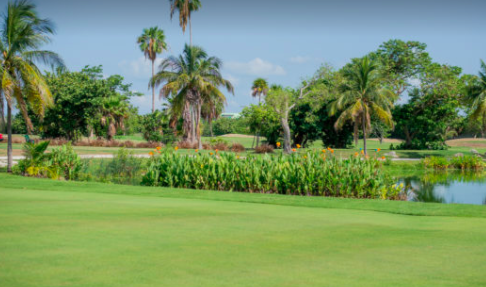 Key West Golf Club | Perklee