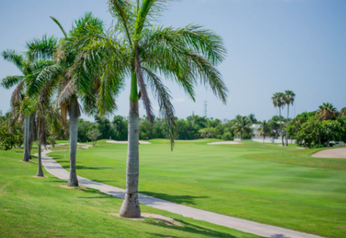 Key West Golf Club | Perklee