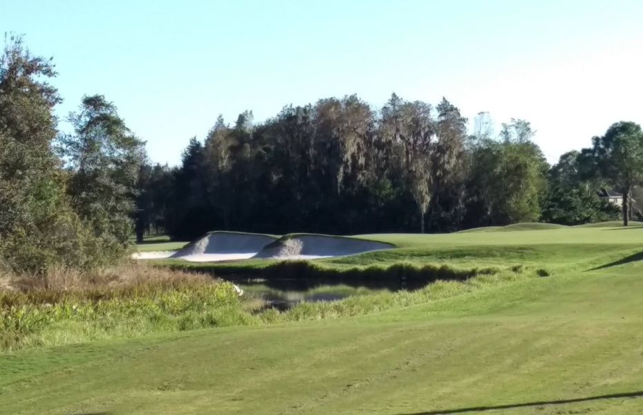 TPC of Tampa Bay | Perklee